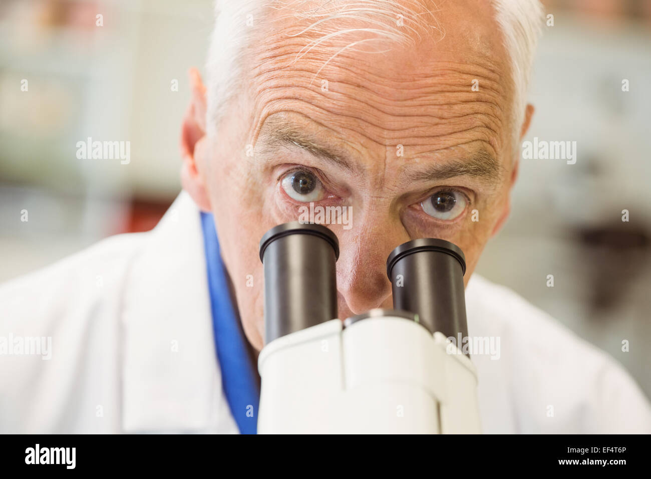Senior scientist working with microscope Stock Photo - Alamy