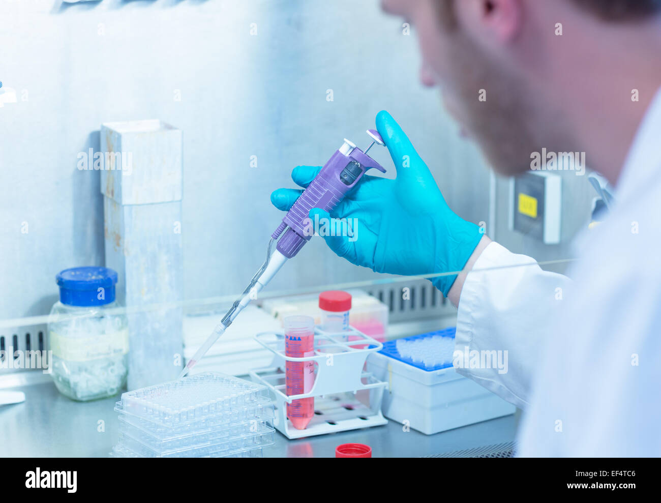 Science student using pipette in the lab Stock Photo - Alamy
