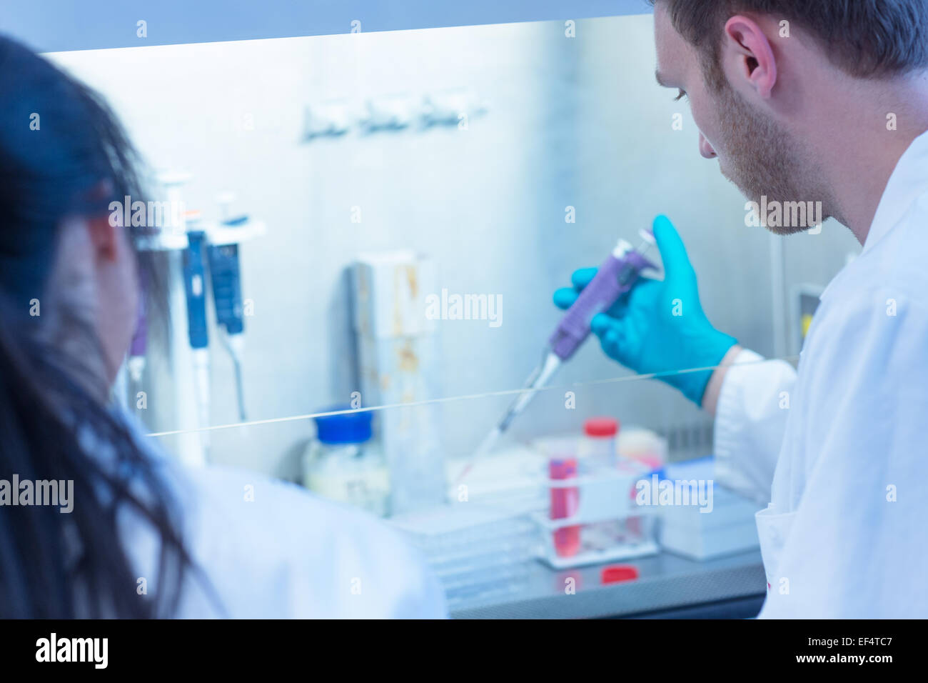 Science student using pipette in the lab Stock Photo - Alamy