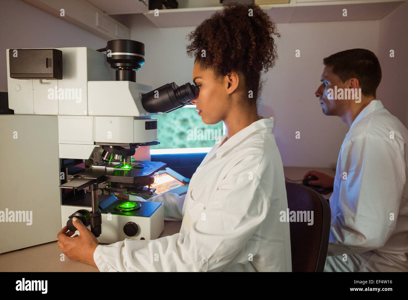 Science students working in the laboratory one looking through ...