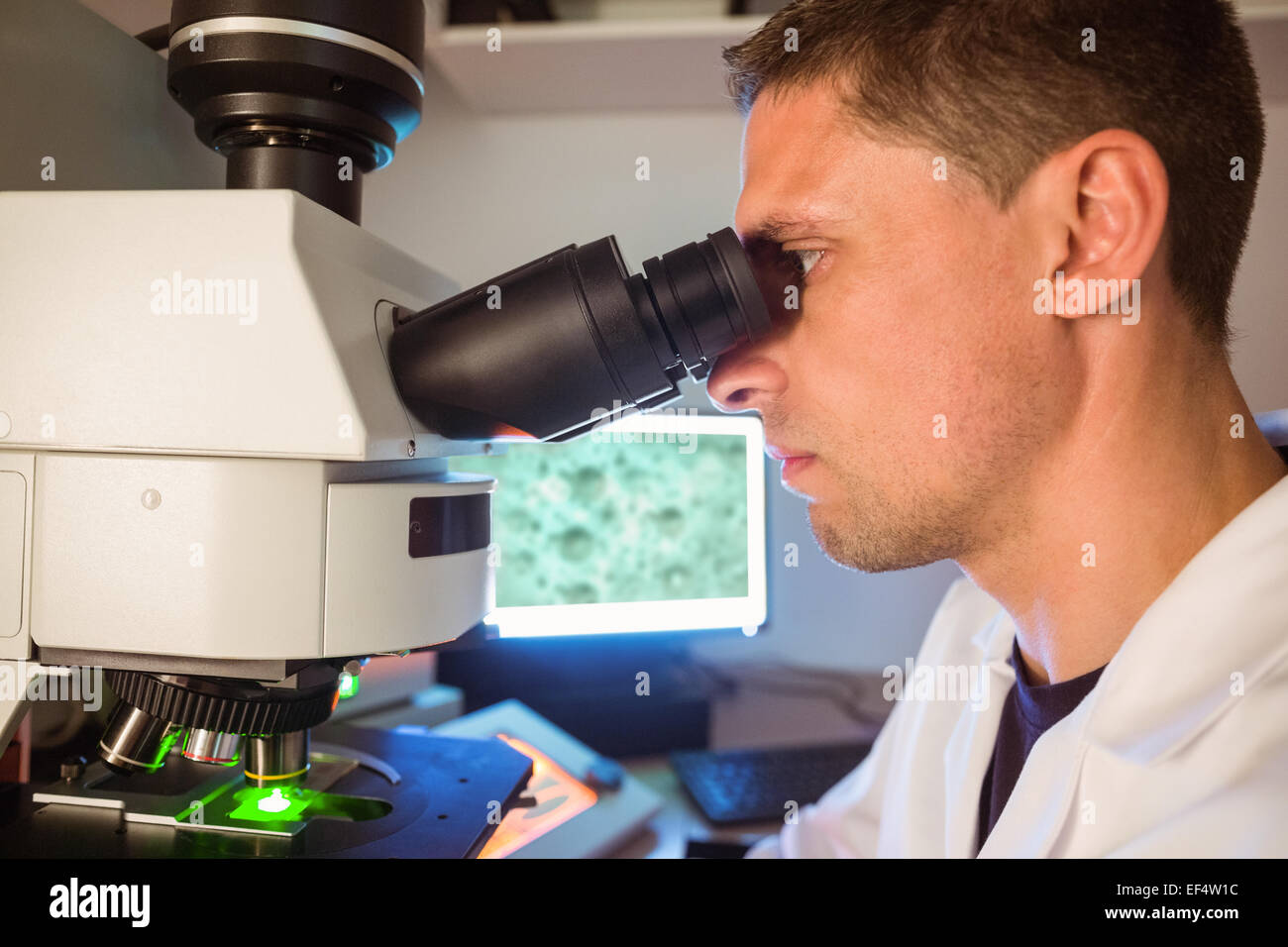 Students looking through microscope hi-res stock photography and images ...
