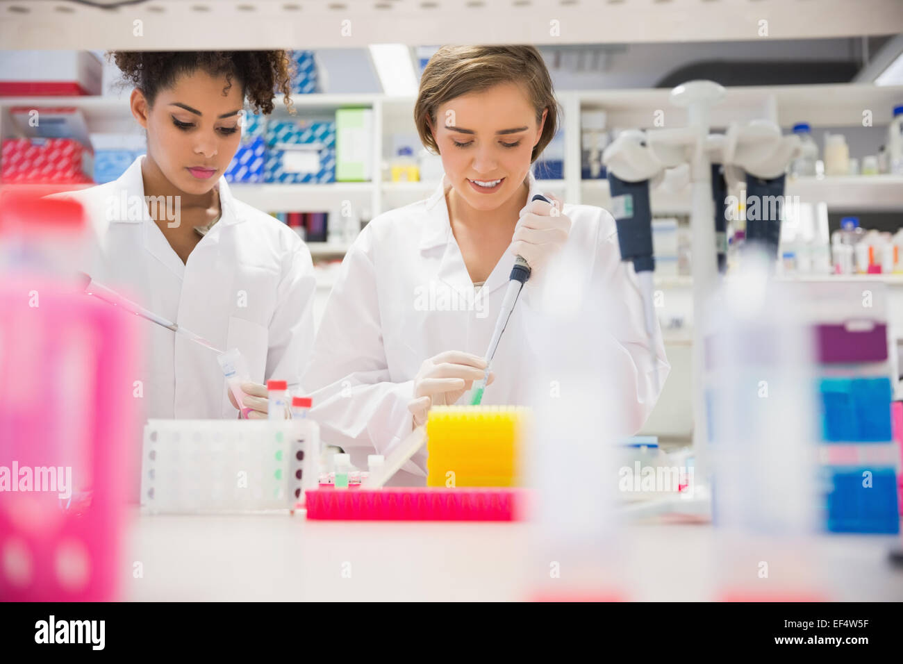 Pretty science students using pipette Stock Photo - Alamy