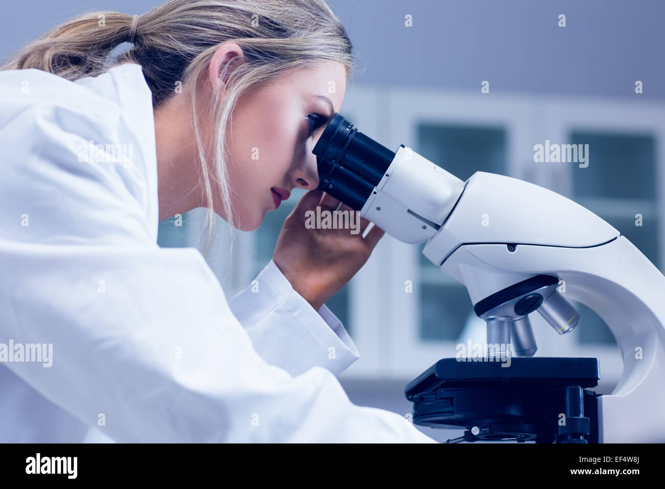 Science student looking through microscope in the lab Stock Photo - Alamy
