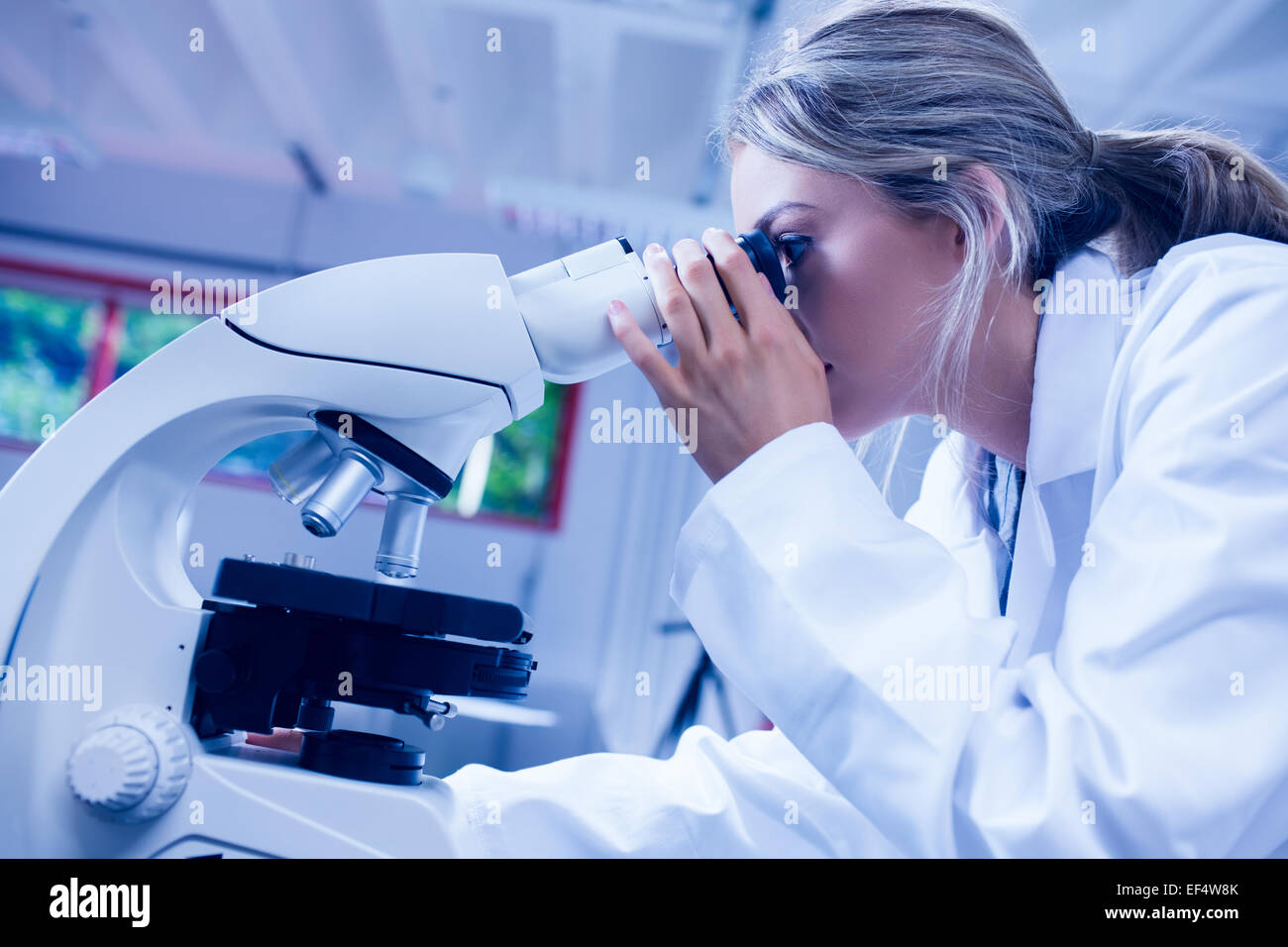 Science student looking through microscope in the lab Stock Photo - Alamy