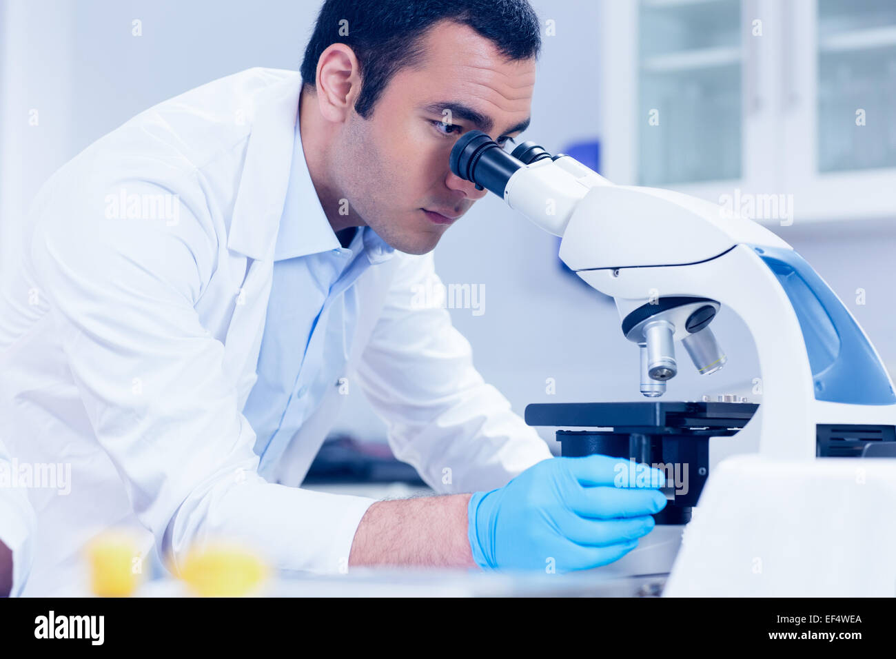 Science student looking through microscope in the lab Stock Photo - Alamy