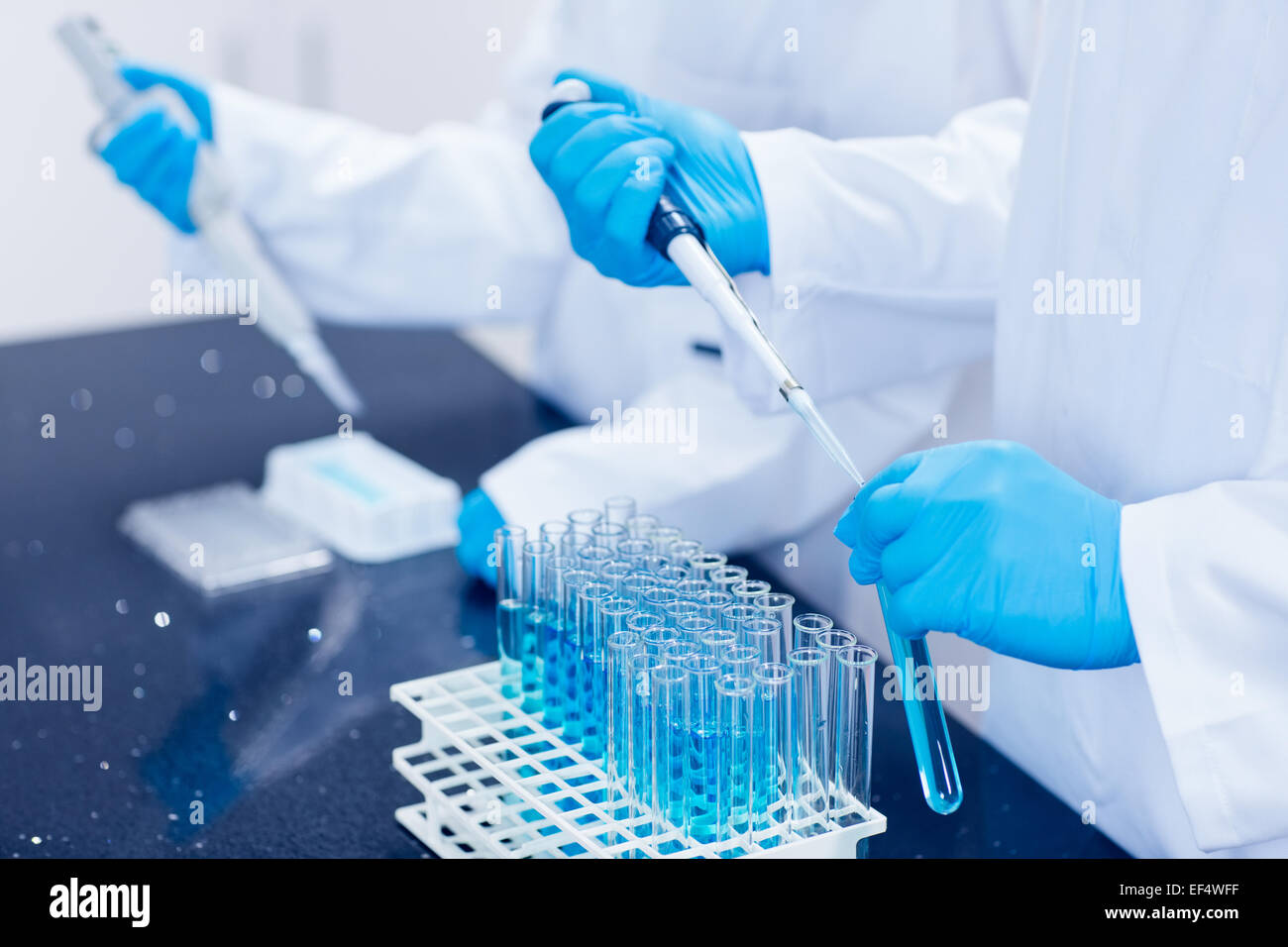 Science students using pipettes to fill test tubes Stock Photo - Alamy