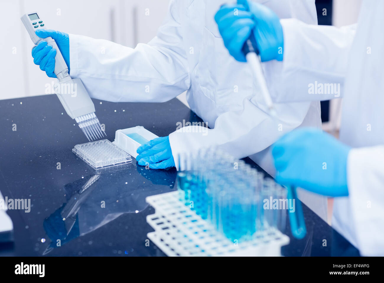 Science students using pipettes to fill test tubes Stock Photo - Alamy