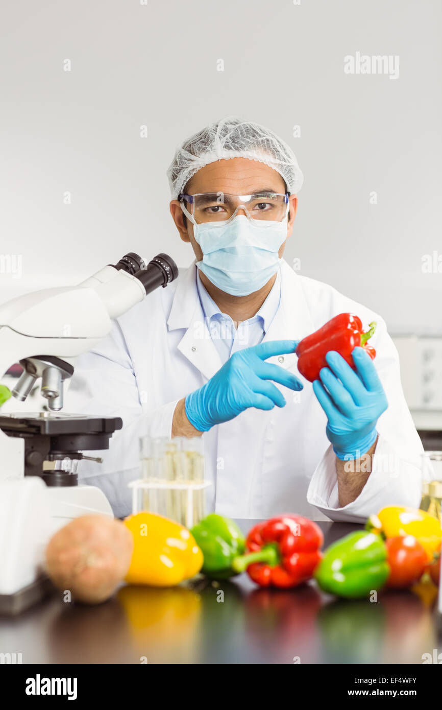 Food scientist examining a pepper Stock Photo - Alamy