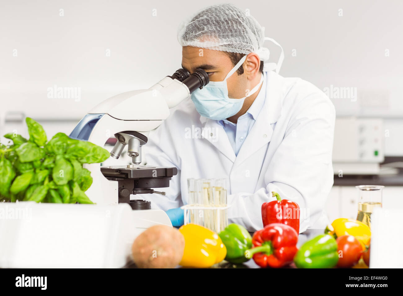 Food scientist using the microscope Stock Photo - Alamy Food scientist using the microscope Stock Photo - Alamy