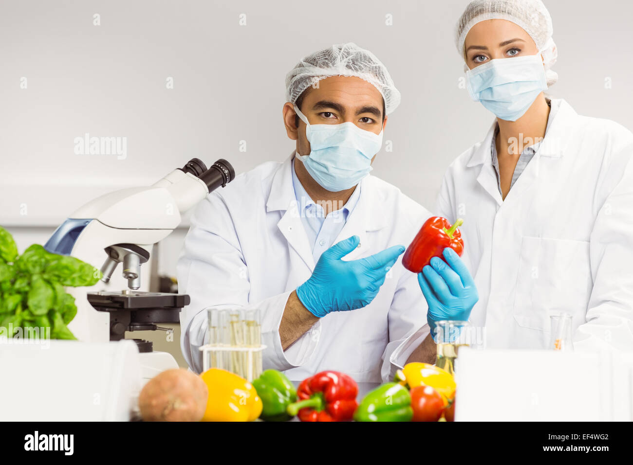 Food scientists looking at a pepper Stock Photo - Alamy