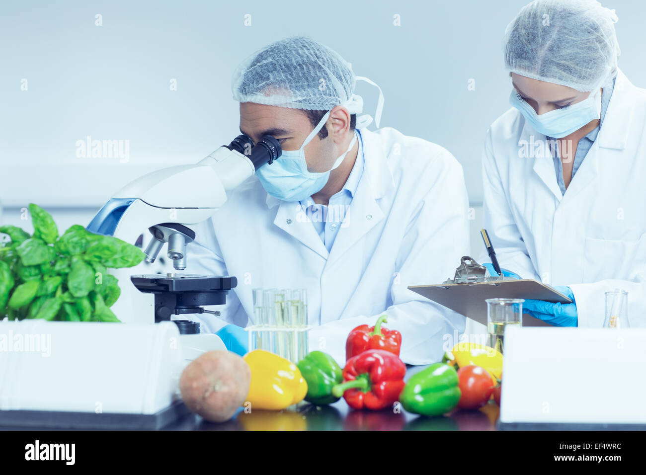Food scientists using the microscope for research Stock Photo - Alamy