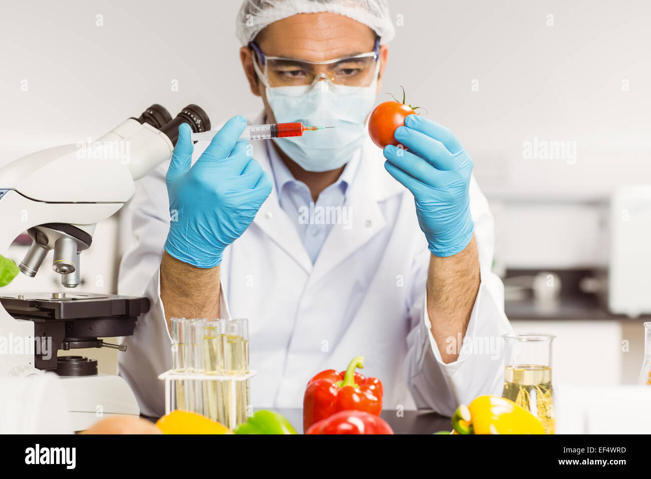 Food scientist injecting a tomato Stock Photo - Alamy