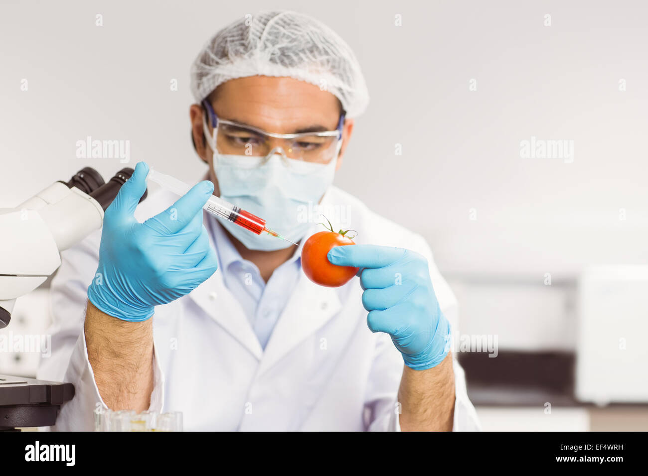 Food scientist injecting a tomato Stock Photo - Alamy