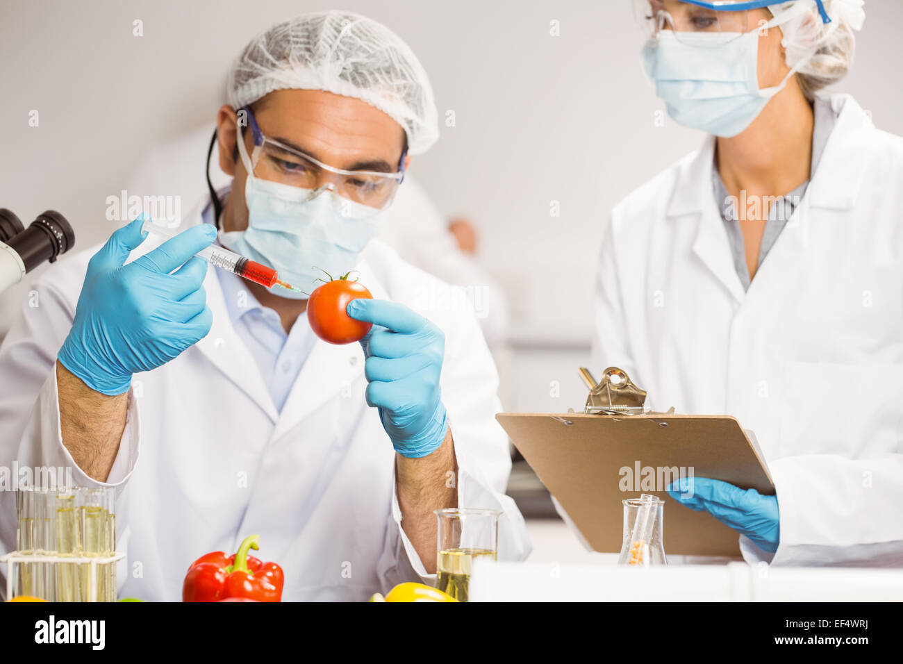 Food scientist injecting a tomato Stock Photo - Alamy