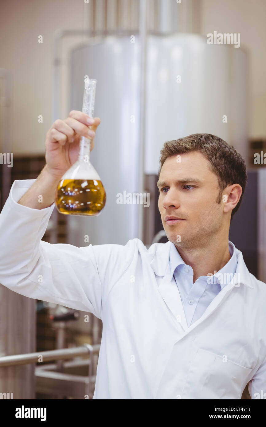 Focused scientist looking beaker with beer Stock Photo - Alamy