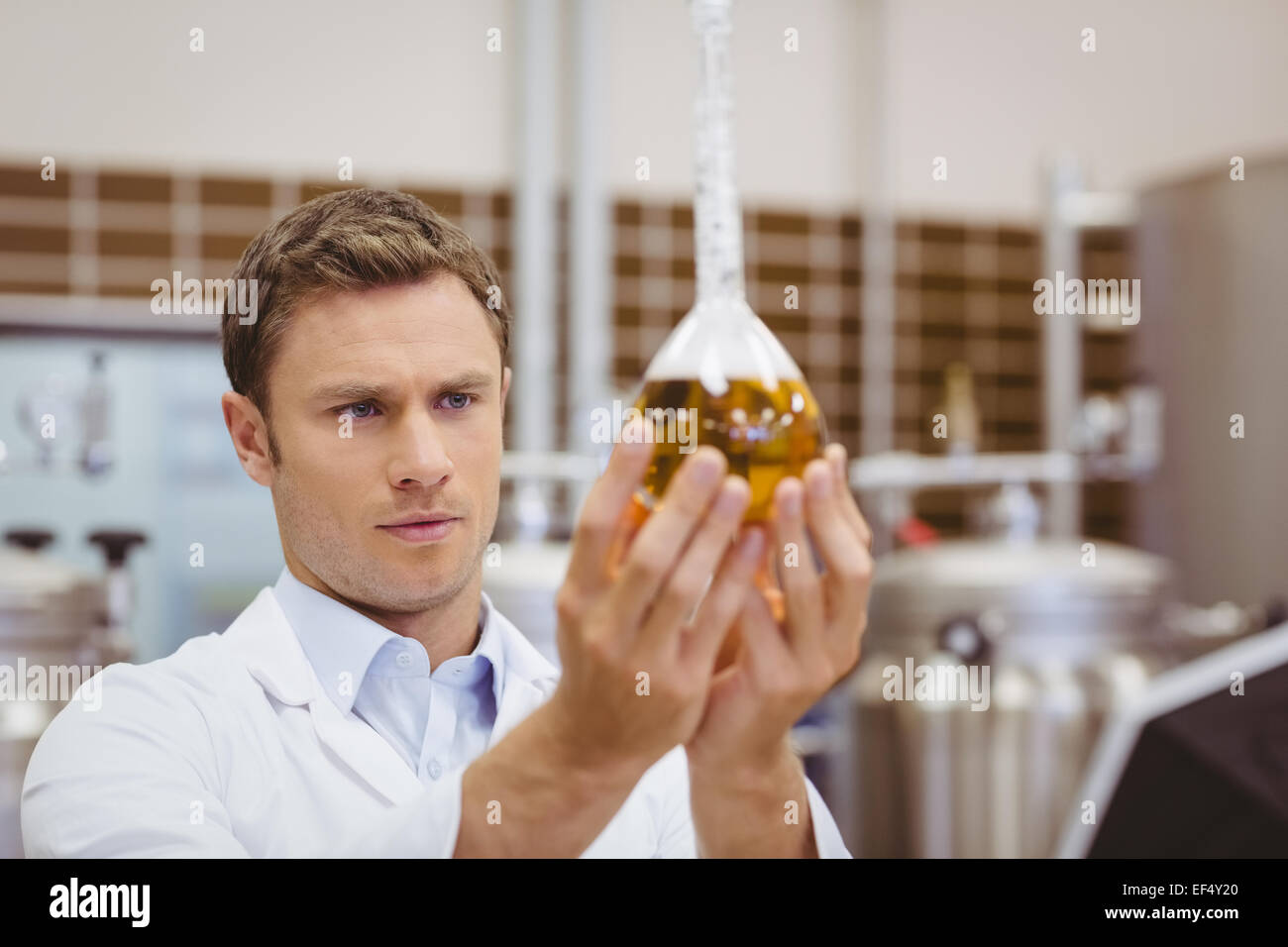 Looking at the beer hi-res stock photography and images - Alamy