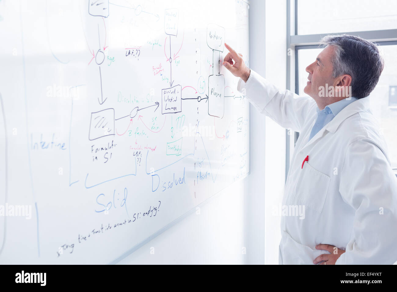 Focused scientist pointing equation on whiteboard Stock Photo - Alamy