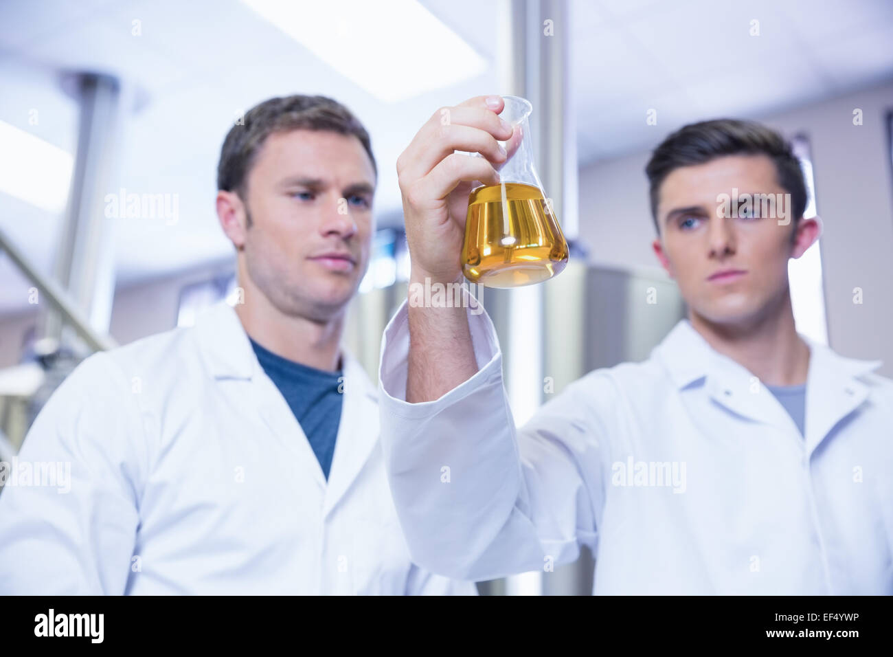 Two men in lab coat looking at the beaker with beer Stock Photo - Alamy