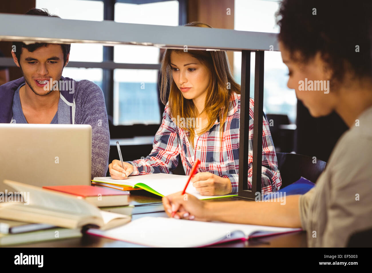 Serious young classmates working together Stock Photo - Alamy
