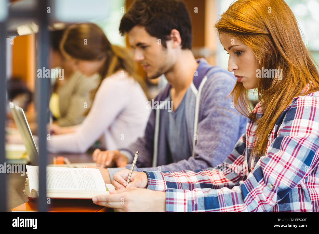 Four focused classmates working together Stock Photo - Alamy