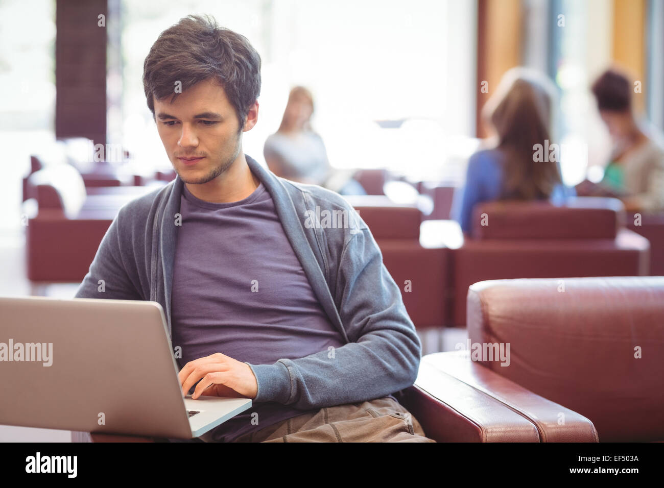 Focused young student studying on couch Stock Photo - Alamy
