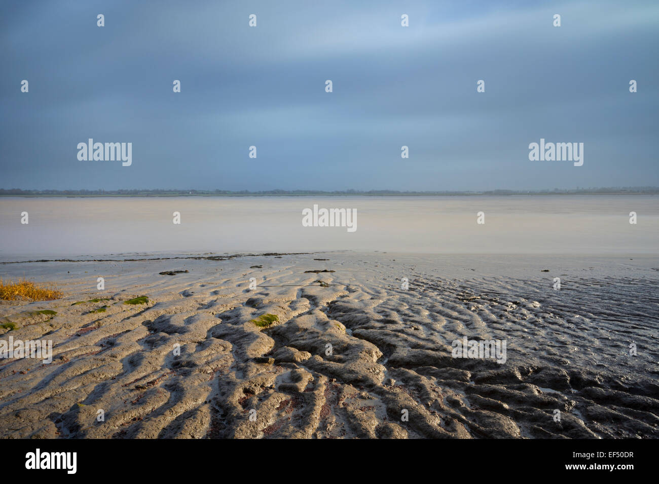 River Severn shoreline Stock Photo - Alamy
