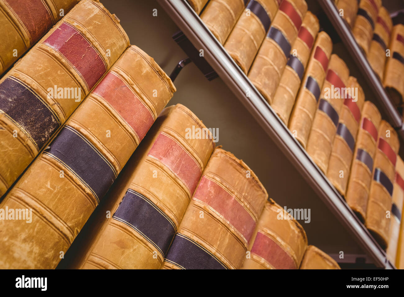 Close up library shelf hi-res stock photography and images - Alamy