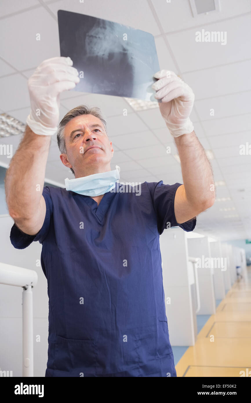 Serious dentist examining a x-ray Stock Photo - Alamy