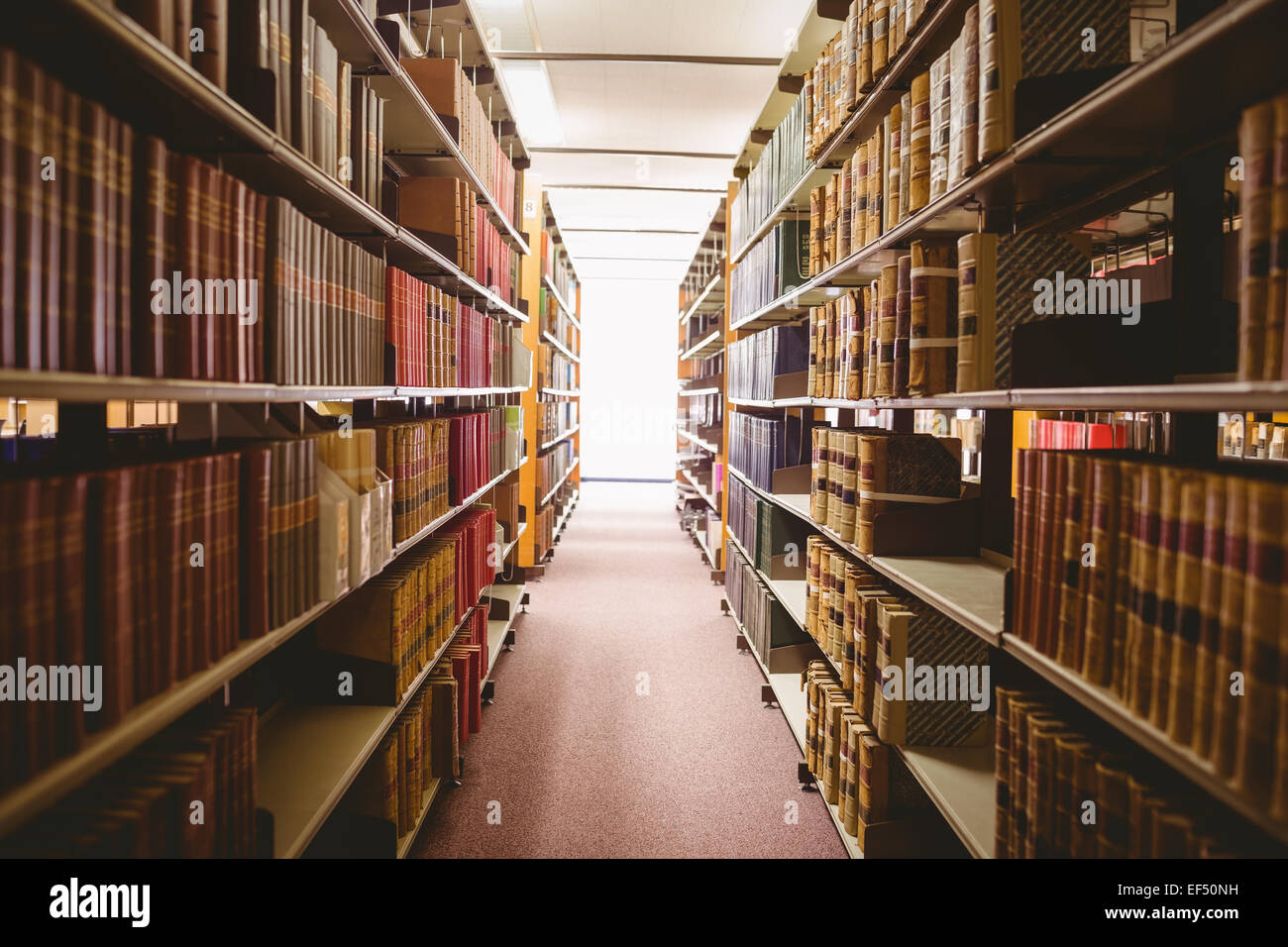 Library bookshelf close up hi-res stock photography and images - Alamy