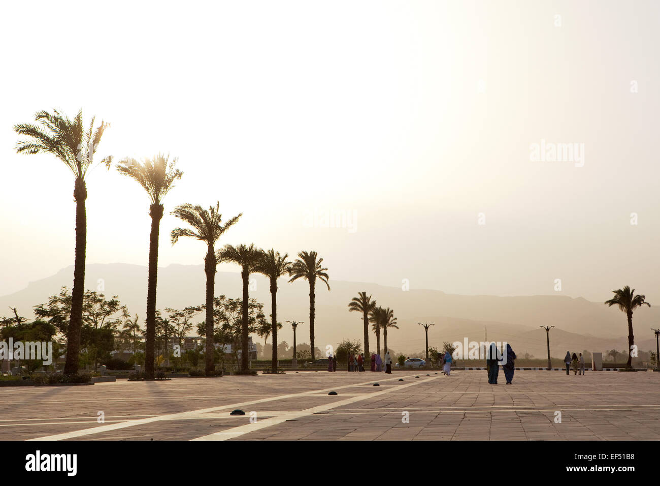 Road sign egypt hi-res stock photography and images - Alamy