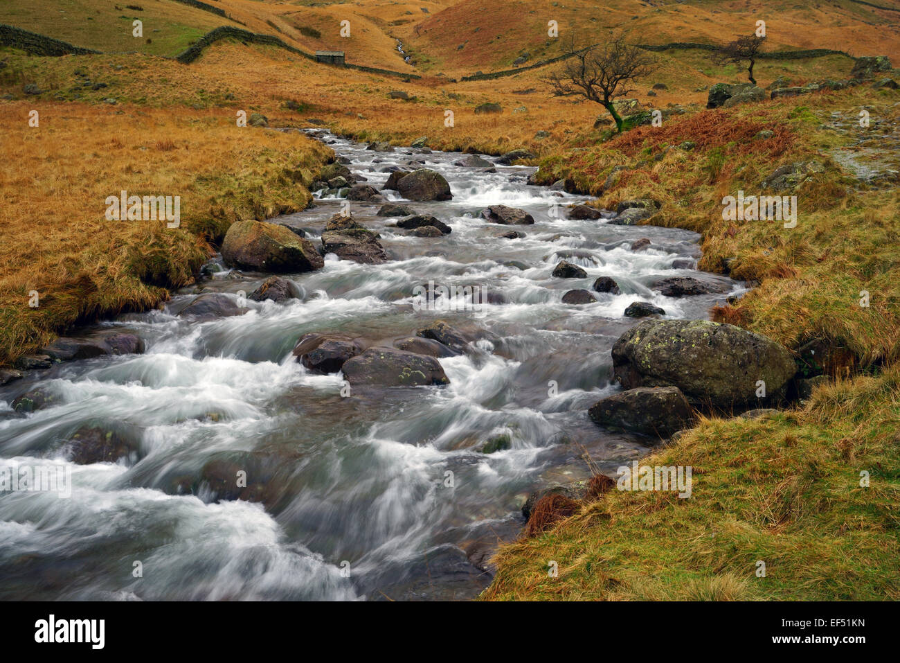 Haweswater in the Lake District National Park, Cumbria Stock Photo - Alamy