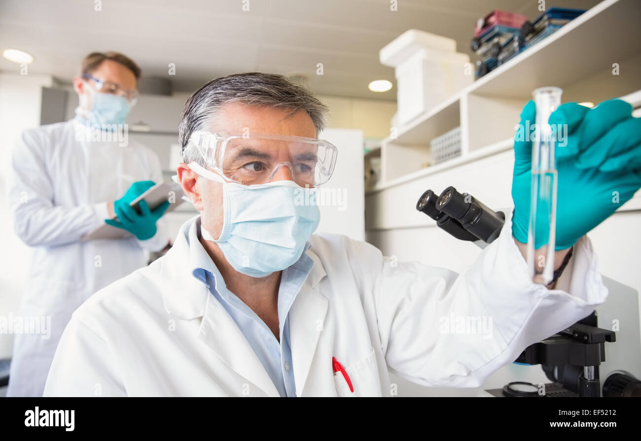 Team of scientists working together Stock Photo - Alamy