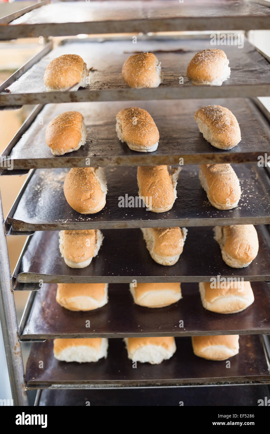 Bread rolls on trays of shelf Stock Photo - Alamy