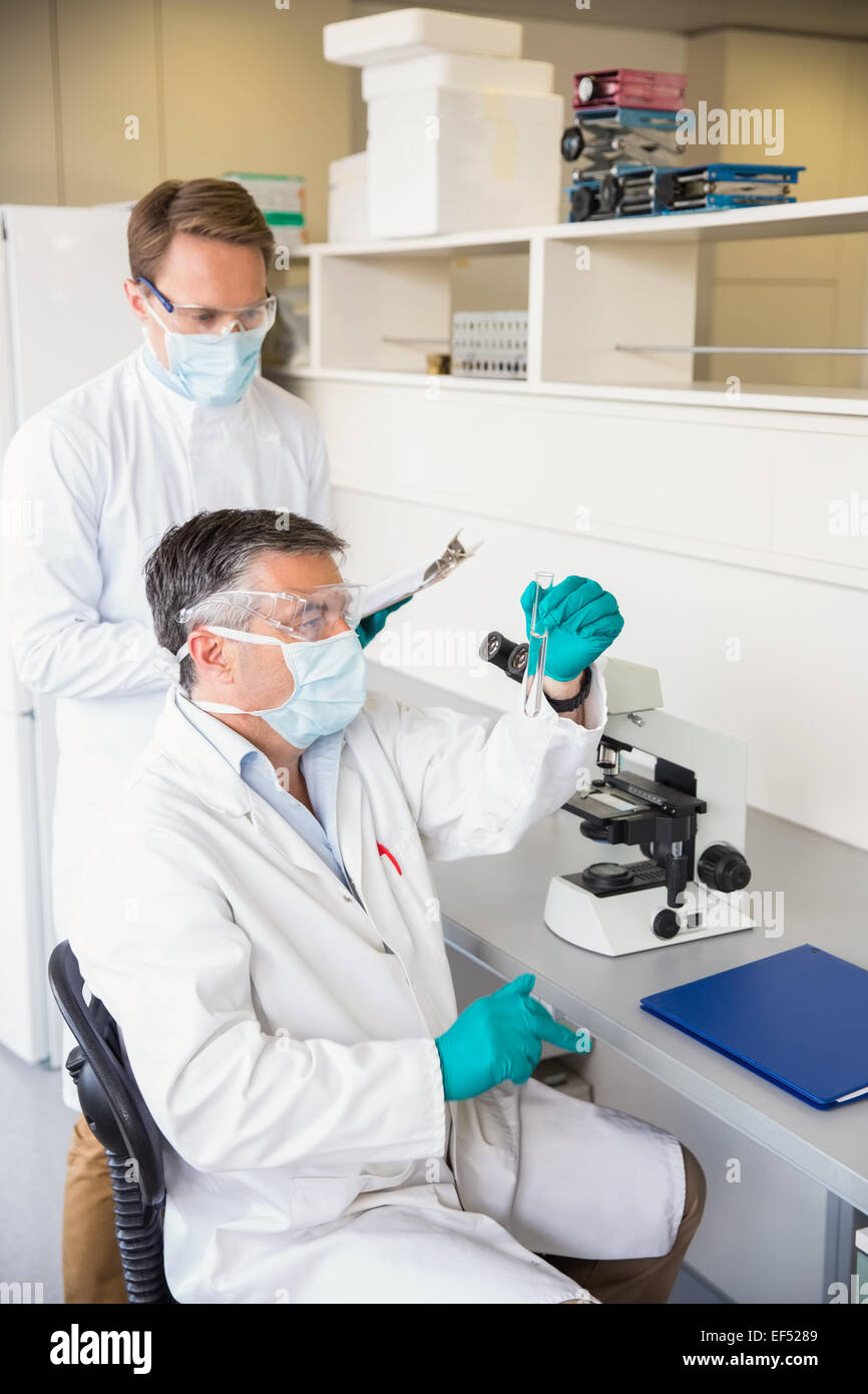 Team of scientists working together Stock Photo - Alamy