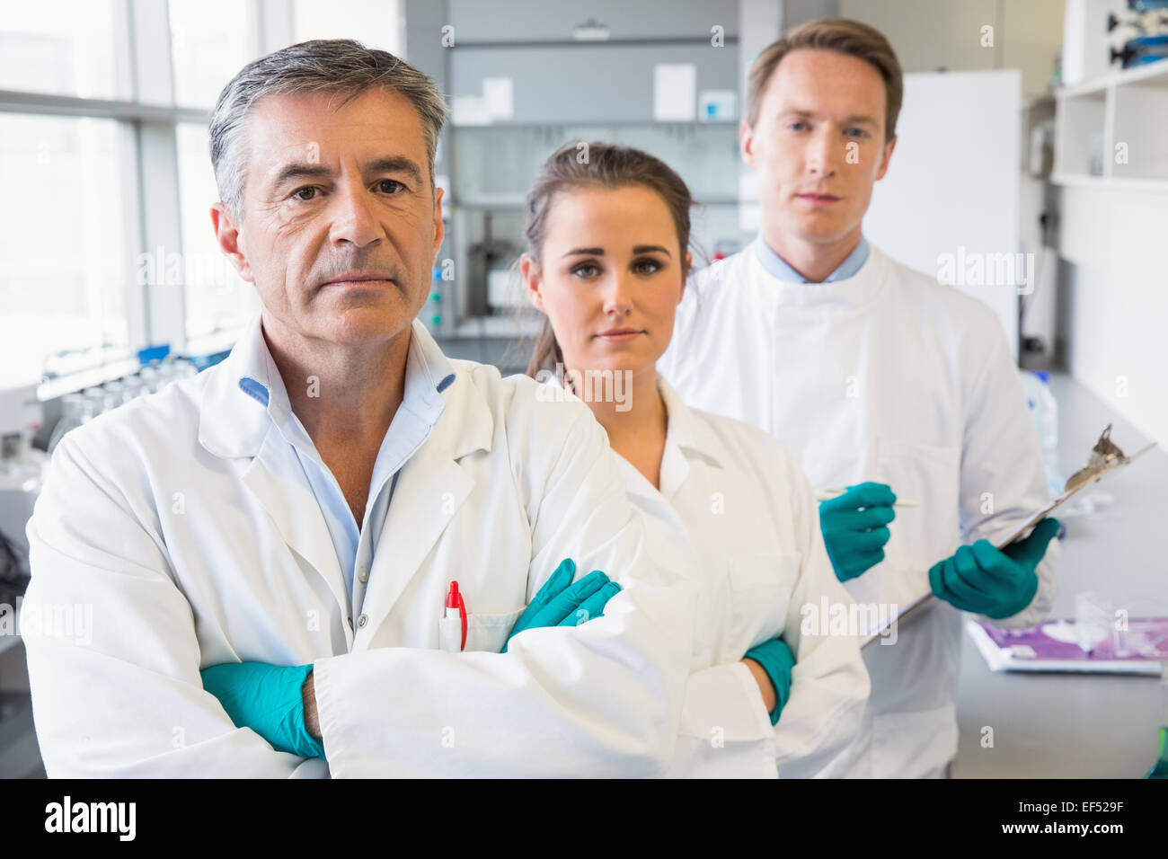 Team of scientists working together Stock Photo - Alamy