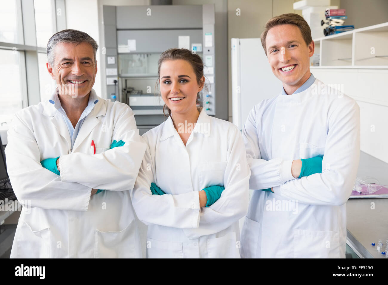Team of scientists working together Stock Photo - Alamy