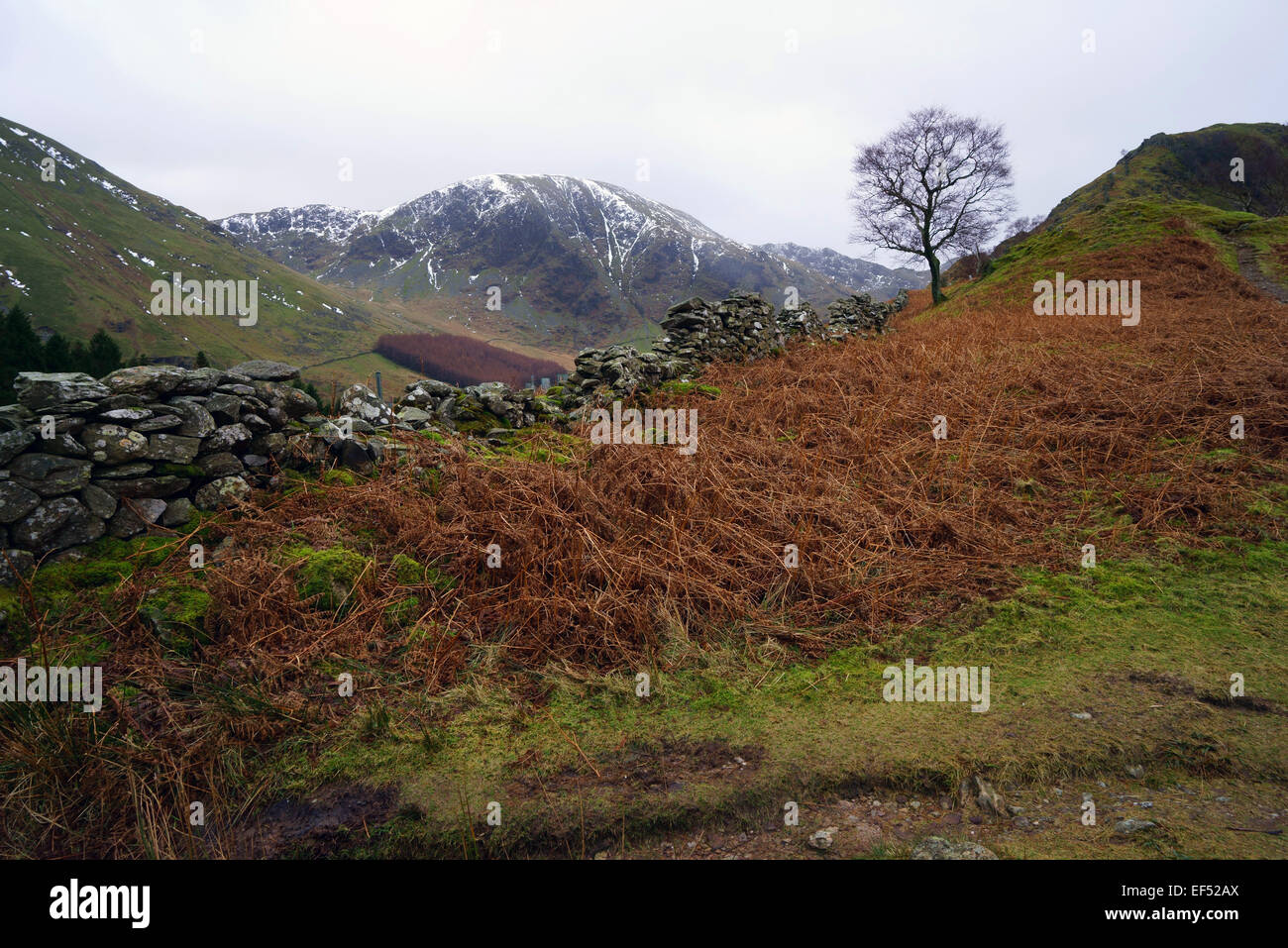 Haweswater in the Lake District National Park, Cumbria Stock Photo - Alamy