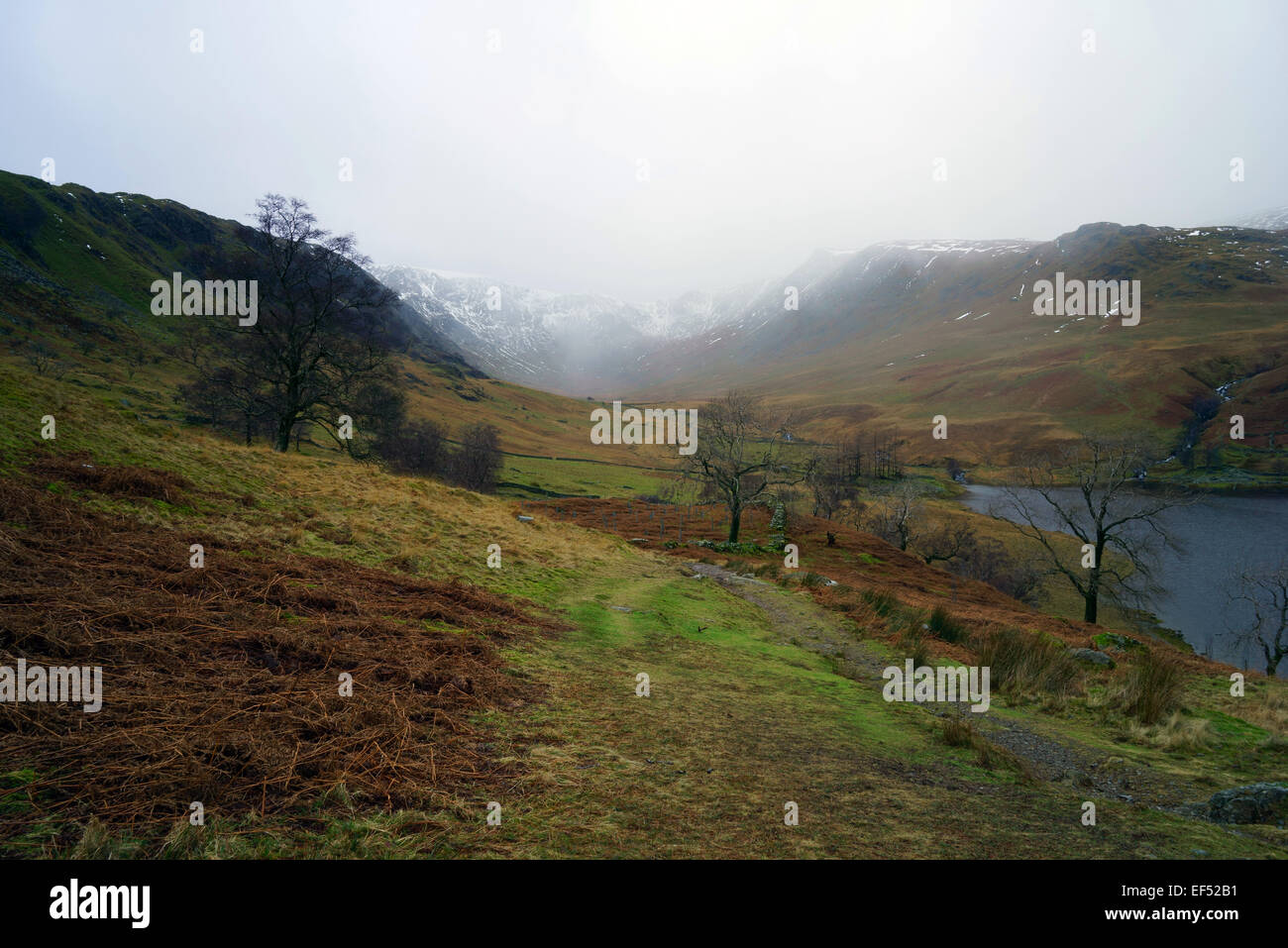 Haweswater in the Lake District National Park, Cumbria Stock Photo - Alamy