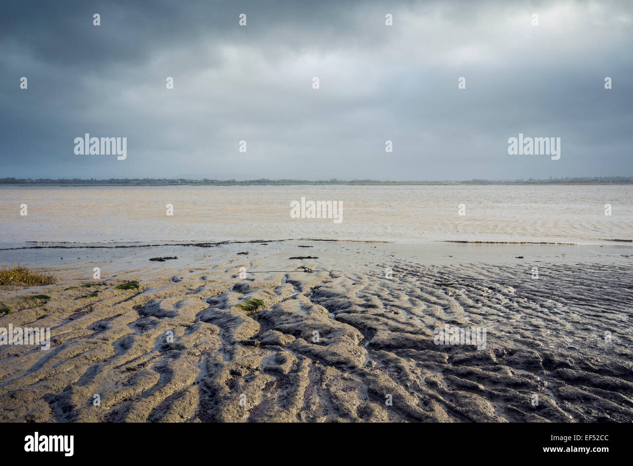 River Severn shoreline Stock Photo - Alamy