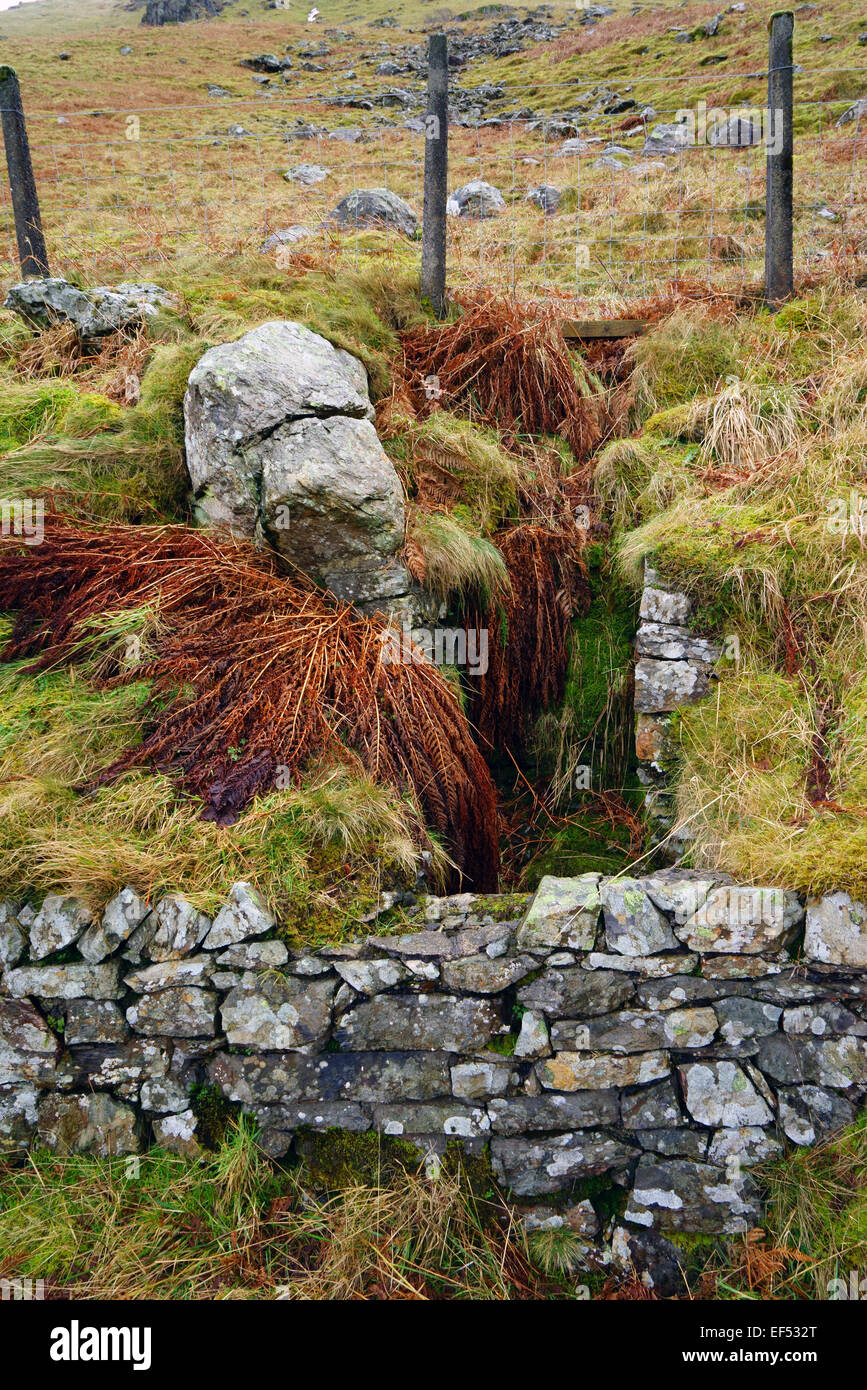 Haweswater in the Lake District National Park, Cumbria Stock Photo - Alamy