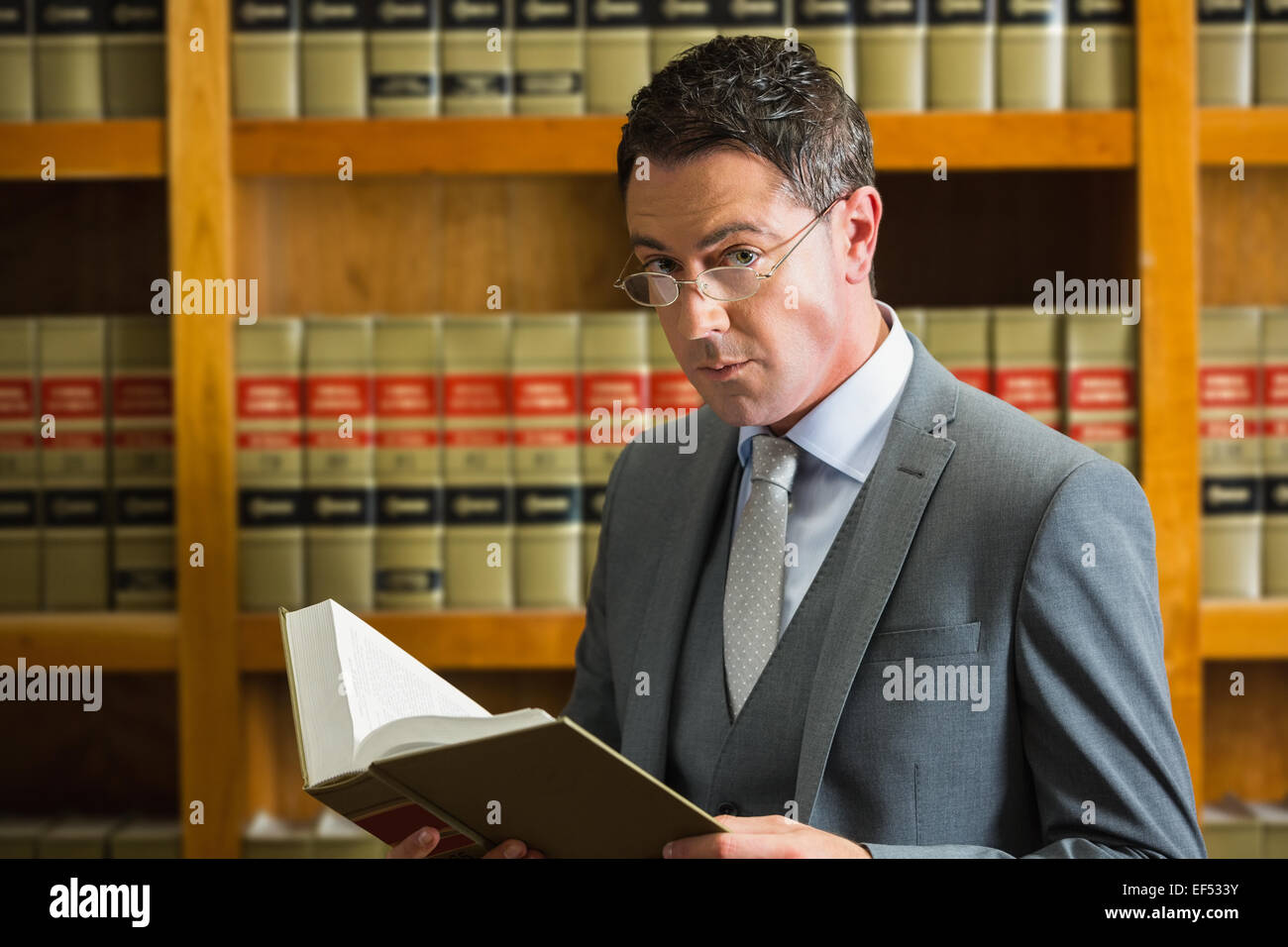 Lawyer reading book in the law library Stock Photo - Alamy
