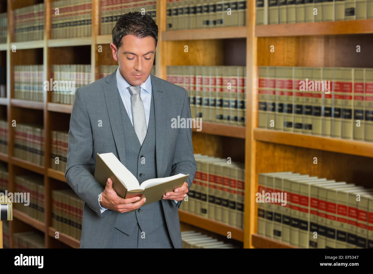 Lawyer reading book in the law library Stock Photo - Alamy