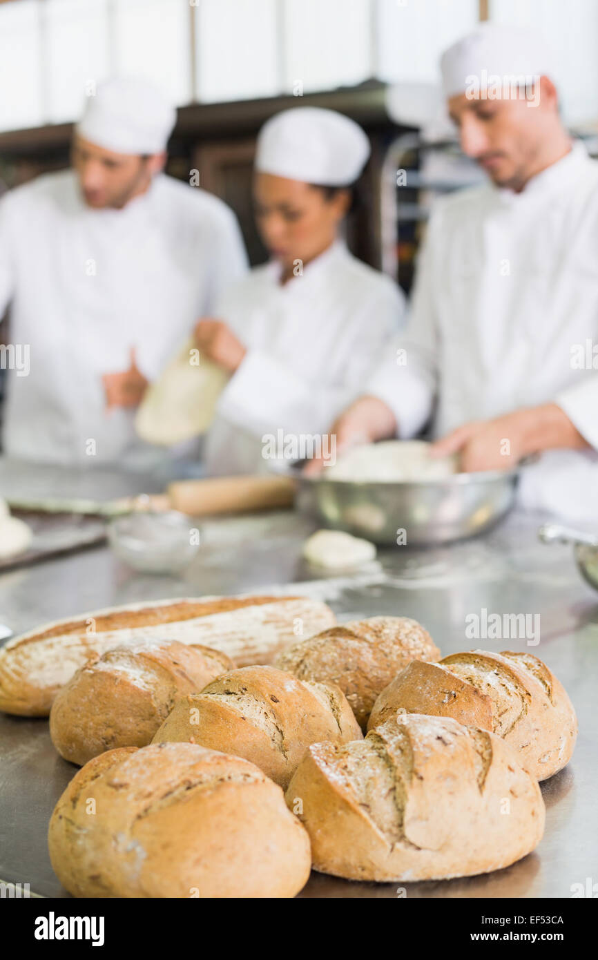 Team of bakers working at counter Stock Photo - Alamy