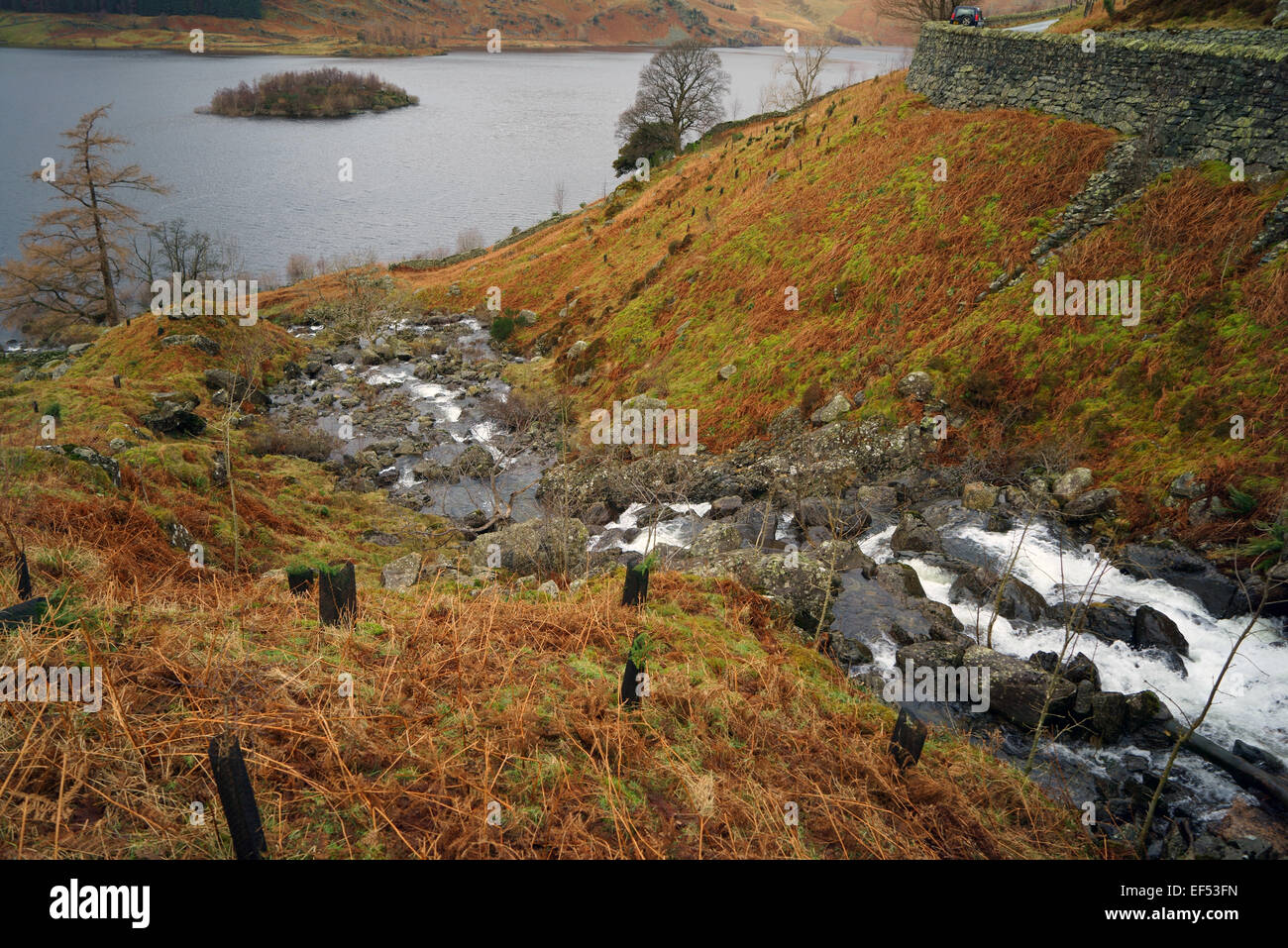 Haweswater in the Lake District National Park, Cumbria Stock Photo - Alamy