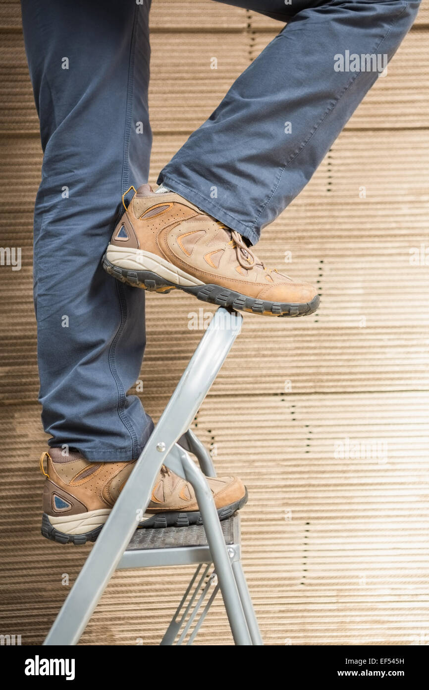 Worker on ladder in warehouse Stock Photo - Alamy