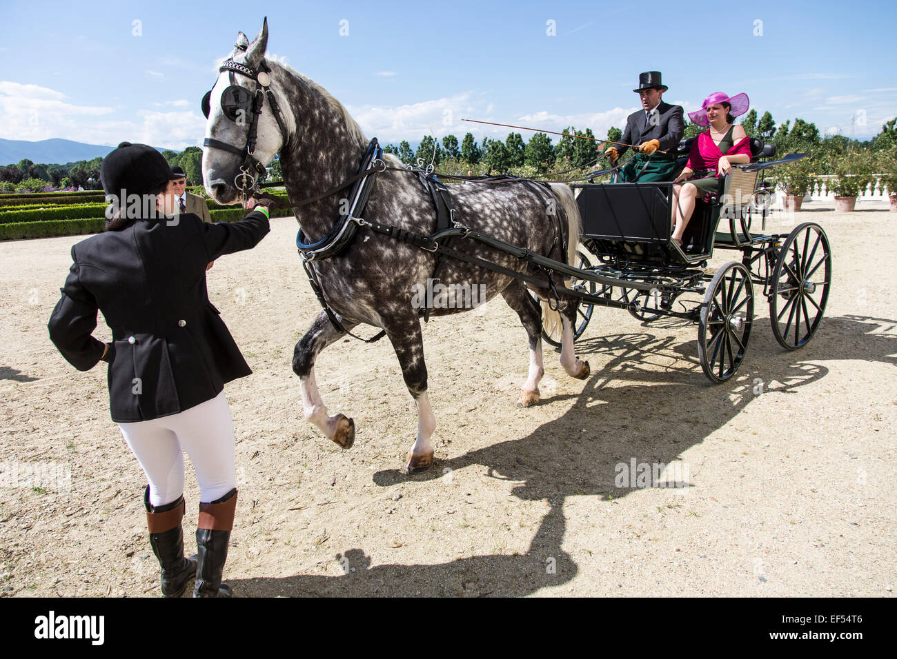 International competition for traditional carriages "La Venaria Reale ...