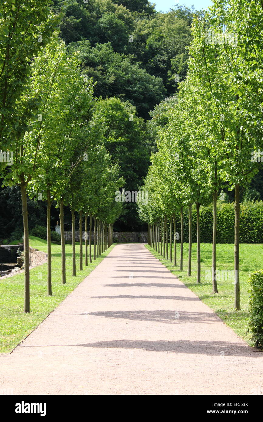 Pathway between trees in a park Stock Photo - Alamy