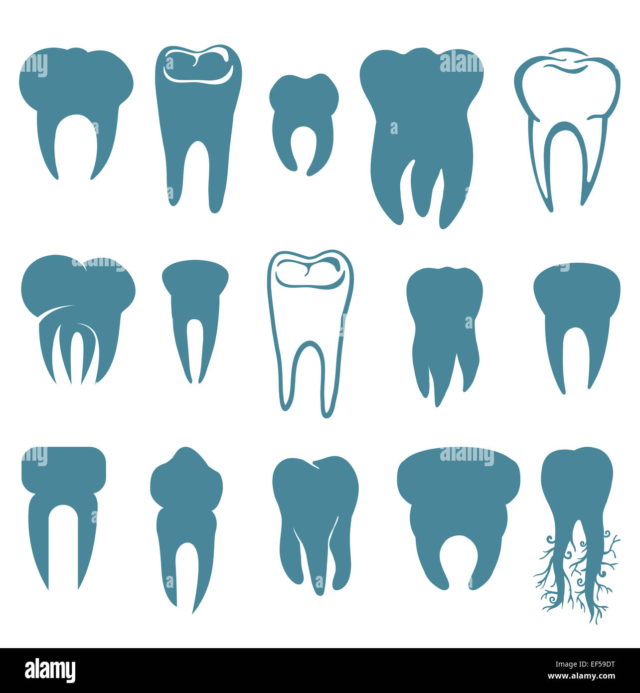 Human teeth set Stock Photo - Alamy