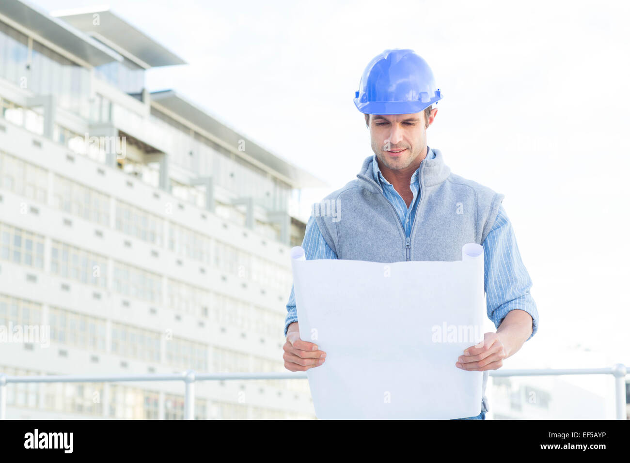 Architect reading blueprint outside building Stock Photo - Alamy