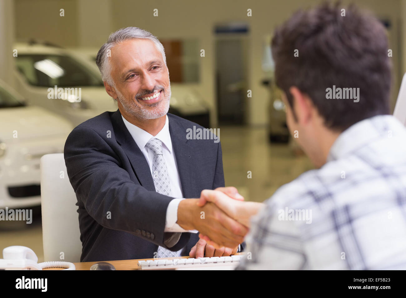 Smiling salesman shaking a customer hand Stock Photo - Alamy